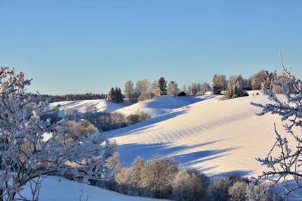 .. SEFTA HOLM ..: Vinterlandskap